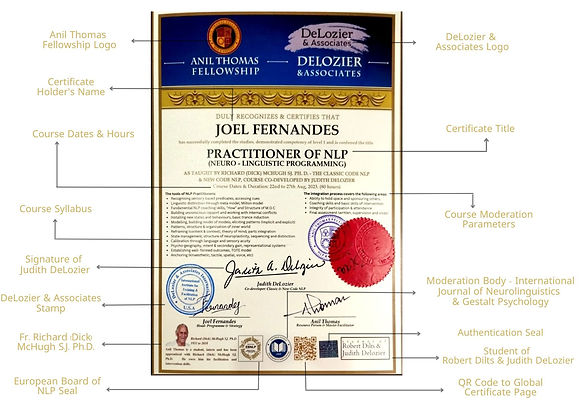 Nlp Practitioner Course Nlp Training Certification Anil Thomas